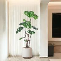 China 160cm/200cm/ 240cm monstera plant artificial Deliciosa with Dense Foliage for sale
