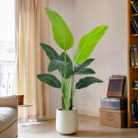 China Multiple sizes Tall Bird of Paradise Artificial Tree  with Large Trunks and Realistic Leaves Big Faux Floor Potted Plants Fake Silk Plants for Home Office Living Room Decor Indoor for sale