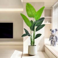 China Multiple sizes Tall Bird of Paradise Artificial Tree  with Large Trunks and Realistic Leaves Big Faux Floor Potted Plants Fake Silk Plants for Home Office Living Room Decor Indoor for sale
