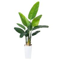 China Artificial Bird of Paradise Plant 6.8FT - Luxury Faux Palm Tree in White Planter for Indoor Office Decor for sale