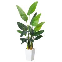 China Artificial Bird of Paradise Plant 6.8FT - Luxury Faux Palm Tree in White Planter for Indoor Office Decor for sale