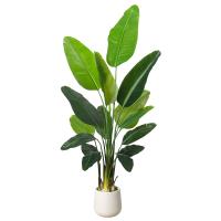 China Artificial Bird of Paradise Plant 6.8FT - Luxury Faux Palm Tree in White Planter for Indoor Office Decor for sale