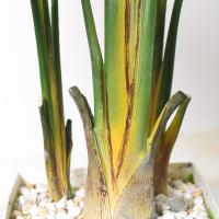 China Artificial Bird of Paradise Plant 6.8FT - Luxury Faux Palm Tree in White Planter for Indoor Office Decor for sale