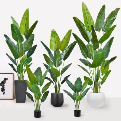 China Artificial Bird of Paradise Plant Indoor - Wholesale Realistic Fake Palm Trees Manufacturer Direct for sale