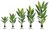 China Artificial Bird of Paradise Plant Indoor - Wholesale Realistic Fake Palm Trees Manufacturer Direct for sale