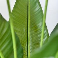 China Artificial Bird of Paradise Plant Indoor - Wholesale Realistic Fake Palm Trees Manufacturer Direct for sale