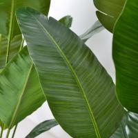 China Artificial Bird of Paradise Plant Indoor - Wholesale Realistic Fake Palm Trees Manufacturer Direct for sale