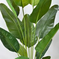 China Artificial Bird of Paradise Plant Indoor - Wholesale Realistic Fake Palm Trees Manufacturer Direct for sale