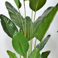 China Artificial Bird of Paradise Plant Indoor - Wholesale Realistic Fake Palm Trees Manufacturer Direct for sale
