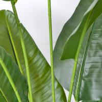 China Artificial Bird of Paradise Plant Indoor - Wholesale Realistic Fake Palm Trees Manufacturer Direct for sale
