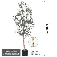 China Artificial Olive Tree Indoor - Realistic Faux Olive Trees Wholesale for Home & Office for sale