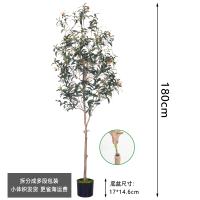 China Artificial Olive Tree Indoor - Realistic Faux Olive Trees Wholesale for Home & Office for sale