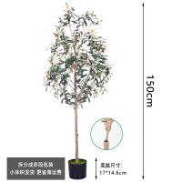 China Artificial Olive Tree Indoor - Realistic Faux Olive Trees Wholesale for Home & Office for sale