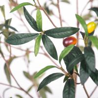 China Artificial Olive Tree Indoor - Realistic Faux Olive Trees Wholesale for Home & Office for sale