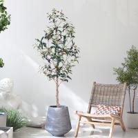 China Artificial Olive Tree Indoor - Realistic Faux Olive Trees Wholesale for Home & Office for sale