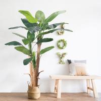 China Wholesale 7 FT Artificial Banana Tree Plant | Natural Bark Trunk | Free Maintenance | Indoor Palm for Living Room & Office Decor for sale