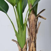 China Wholesale 7 FT Artificial Banana Tree Plant | Natural Bark Trunk | Free Maintenance | Indoor Palm for Living Room & Office Decor for sale