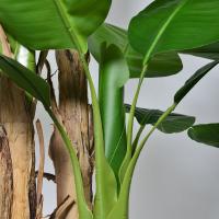 China Wholesale 7 FT Artificial Banana Tree Plant | Natural Bark Trunk | Free Maintenance | Indoor Palm for Living Room & Office Decor for sale