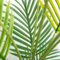 China 6ft Indoor Artificial Palm Trees thick foliage Tall Faux Silk Large Artificial Plant For Home Decor for sale