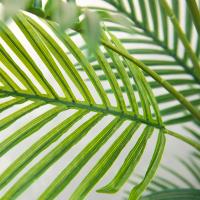 China 6ft Indoor Artificial Palm Trees thick foliage Tall Faux Silk Large Artificial Plant For Home Decor for sale
