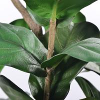 China Wholesale Artificial Plants Suppliers Multi-Stem 7.3ft 8.6ft Faux Fiddle Leaf Fig Tree For Home Living Room Office Decor for sale