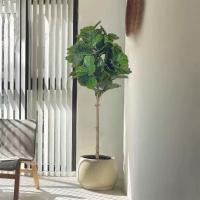 China Artificial Plants Factory 160cm Silk Fake Fiddle Leaf Fig Tree For Realistic Home And Office Decoration Custom Sizes Available for sale