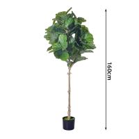 China Artificial Plants Factory 160cm Silk Fake Fiddle Leaf Fig Tree For Realistic Home And Office Decoration Custom Sizes Available for sale