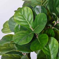 China Artificial Plants Factory 160cm Silk Fake Fiddle Leaf Fig Tree For Realistic Home And Office Decoration Custom Sizes Available for sale