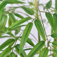 China Wholesale Artificial Bamboo Plant Tree With Plastic Pot For Home Decor, Apartment Or Office– Realistic Fake Indoor Plants For Living Room, Bedroom, Bathroom, Entryway – Faux Greenery For Home DéCor for sale