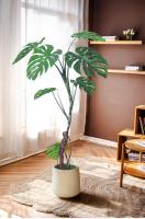 China 140cm/ 170cm faux monstera plant​ with Aerial Roots | Single Stem Silk Plant | Hotel Lobby Tree | Factory Direct for sale