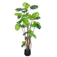 China 240cm Giant Artificial Monstera Plants With Realistic Leaves For Office & Hotel Decor for sale
