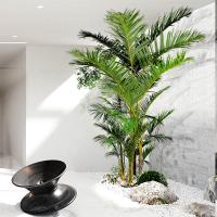 China Palm Plant Artificial Giant Kentia Palm Cluster - 11.8ft Commercial-Grade W/Anti-Theft Tech (Multi-Trunk) for sale