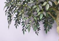 China UV Resistant Fake Plant 2.5m tall faux potted olive tree In Planter for Indoor House Plants & Tall Floor Decor for sale