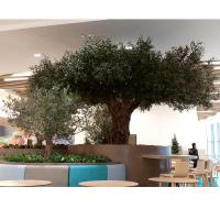 China Custom Large Artificial Olive Tree 3-8m | Commercial Grade Faux Olive Plant for sale