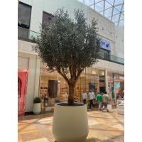 China Custom Large Artificial Olive Tree 3-8m | Commercial Grade Faux Olive Plant for sale