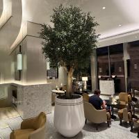 China Custom Large Artificial Olive Tree 3-8m | Commercial Grade Faux Olive Plant for sale