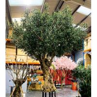 China Custom Large Artificial Olive Tree 3-8m | Commercial Grade Faux Olive Plant for sale
