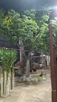 China Artificial Banyan Tree For Decoration， Customized UV-Resistant And Flame-Retardant 5M Height for sale