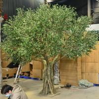 China 7ft 8ft or customized height most realistic large faux olive tree for indoor hotel lobby and outdoor (uv resistant)_ for sale