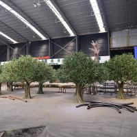 China 7ft 8ft or customized height most realistic large faux olive tree for indoor hotel lobby and outdoor (uv resistant)_ for sale
