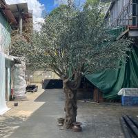 China Large Fake Tree indoor olive trees artificial Faux Tree with Natural Wood Trunk and Realistic Leaves for sale