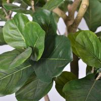 China Multi-Stem 7ft Artificial Ficus Lyrata Faux Fiddle Leaf Fig Plant For Lobby Apartments hotel decolation for sale