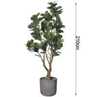 China Multi-Stem 7ft Artificial Ficus Lyrata Faux Fiddle Leaf Fig Plant For Lobby Apartments hotel decolation for sale