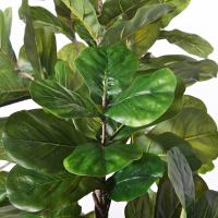 China Artificial Ficus Microcarpa  6 Ft Indoor Pot Faux Fiddle Leaf Fig Tree For Indoor Living Room Decoa for sale