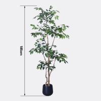China Haihong Manufacturer silk leaves 6 ft artificial ficus tree​  and Natural Trunk, Faux Ficus Tree with Plastic Pot, Fake Ficus Tree for Office Home Farmhouse for Indoor Outdoor Decor for sale