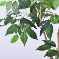 China Haihong Manufacturer silk leaves 6 ft artificial ficus tree​  and Natural Trunk, Faux Ficus Tree with Plastic Pot, Fake Ficus Tree for Office Home Farmhouse for Indoor Outdoor Decor for sale
