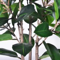 China Tropical Faux Oak Tree Bonsai Plant Faux Rubber Tree Plant​ for Home & Garden Decorative Artificial Rubber Tree for Backyard Decor for sale