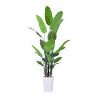 China High Quality Artificial Potted Plants 2.5m large indoor bird of paradise plant​  for Indoor Decoration Plant for sale