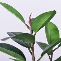 China Indoor Outdoor Decor Fake Tree In Pot Plastic Plants Artificial Tree Faux Rubber Tree​ For Home Decor Office Living Room for sale