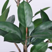 China Indoor Outdoor Decor Fake Tree In Pot Plastic Plants Artificial Tree Faux Rubber Tree​ For Home Decor Office Living Room for sale